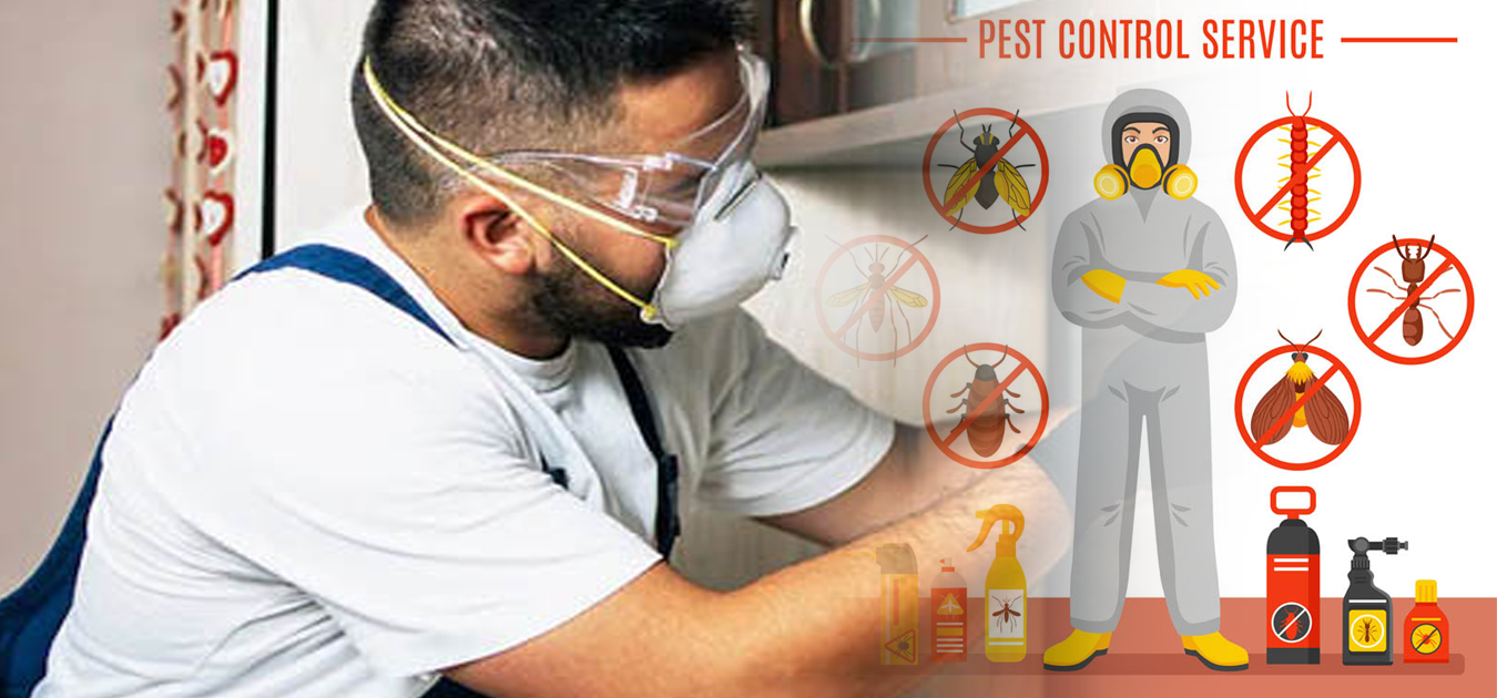 Pest Control Services in Hyderabad | Termite, Cockroach, Rodent Control